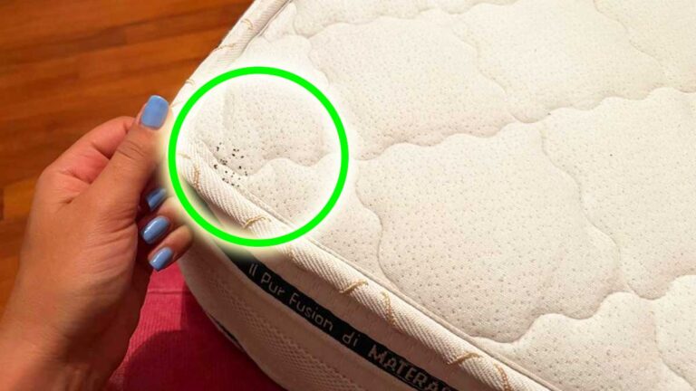 Come riconoscere le Cimici da letto nel materasso e come eliminarle ...