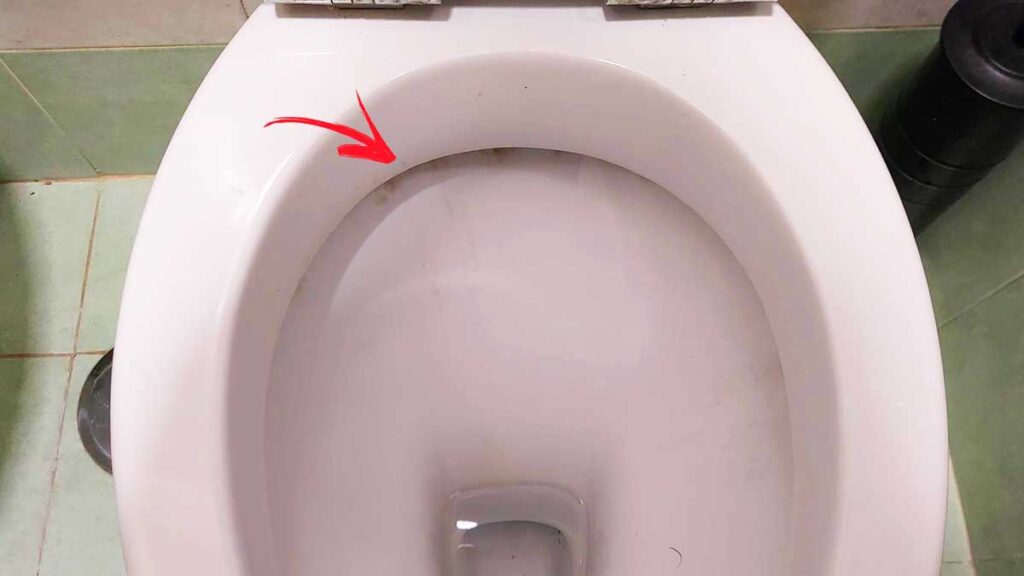 Come togliere l'Anello di Calcare dal WC con 5 Rimedi Naturali - Rimedi ...